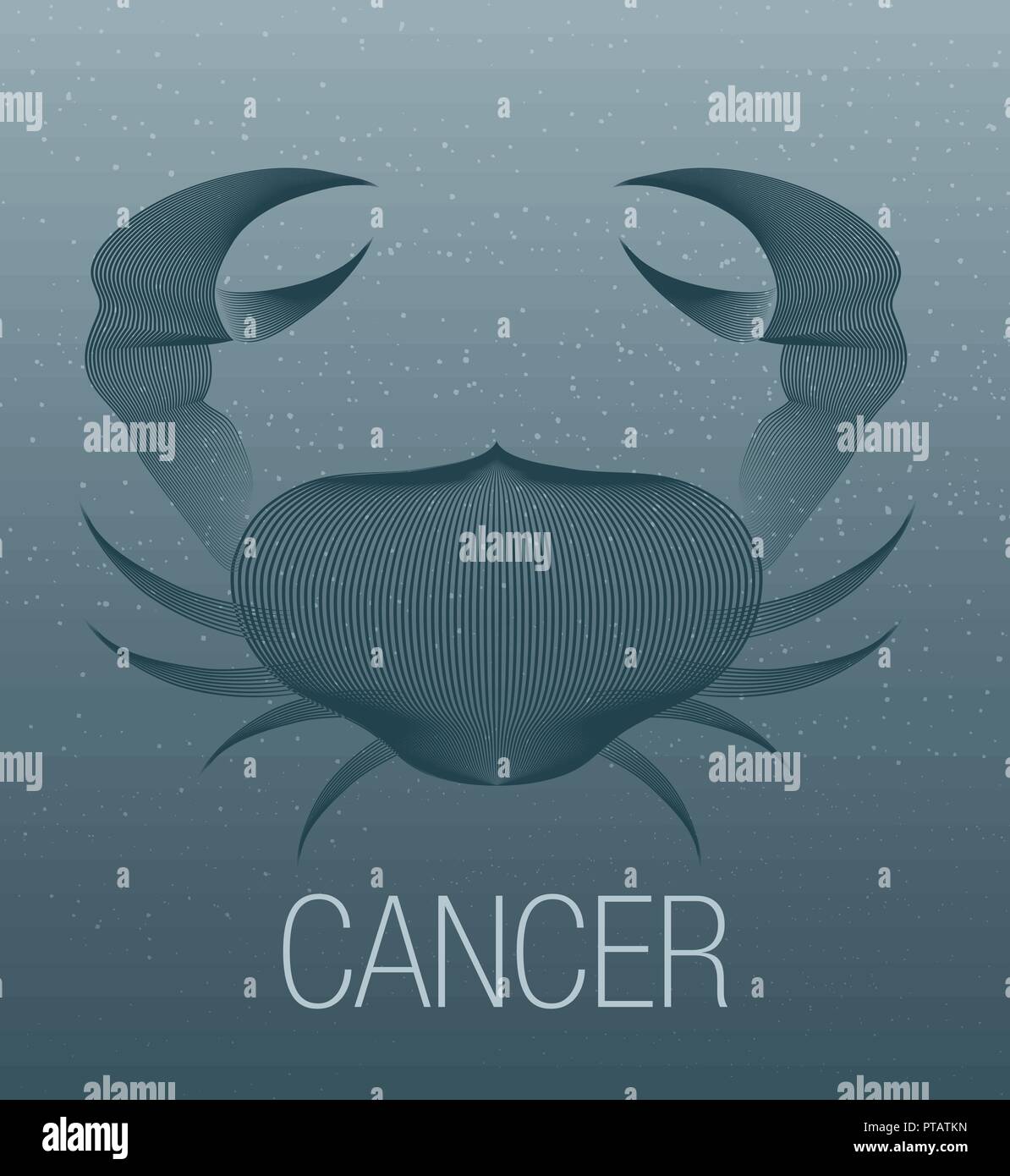 Zodiac Sign Cancer Vector Illustration Stock Vector Image And Art Alamy