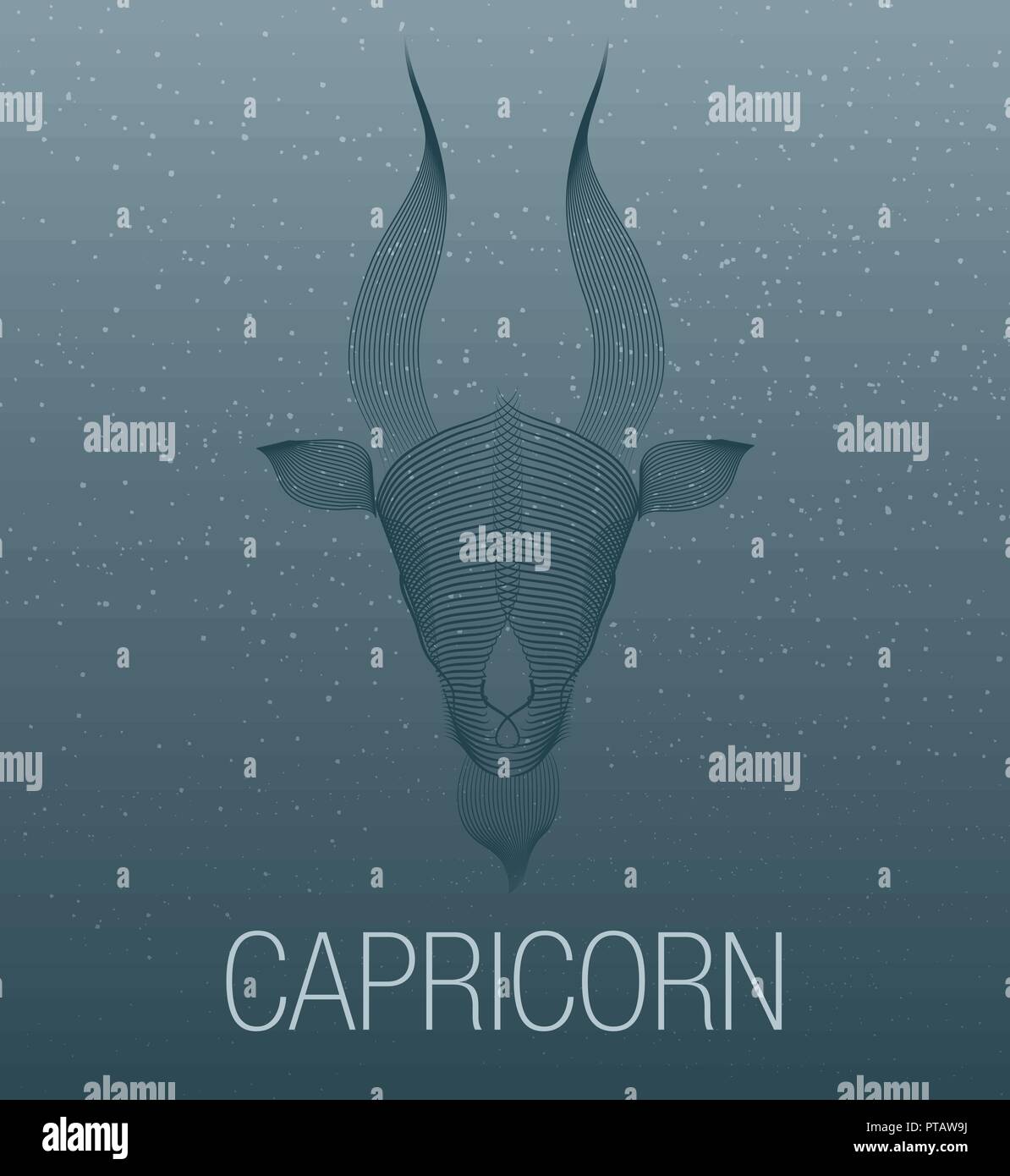 Zodiac Sign. Capricorn. Vector Illustration Stock Vector Image & Art ...