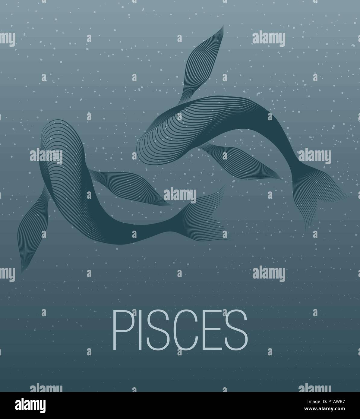 Zodiac Sign. Pisces. Vector Illustration Stock Vector Image & Art - Alamy