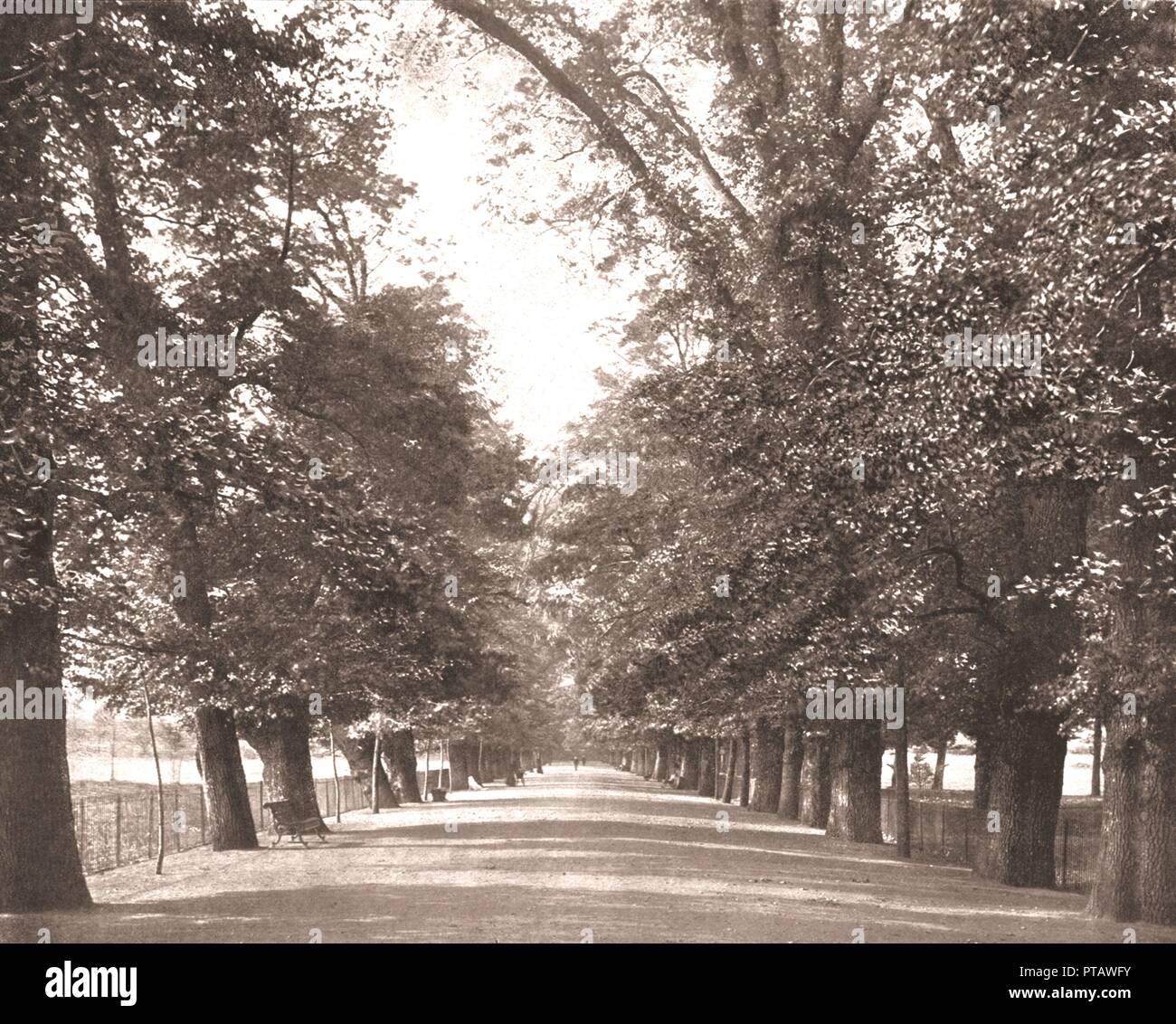 The Broad Walk, Oxford, 1894. Creator: Unknown Stock Photo - Alamy