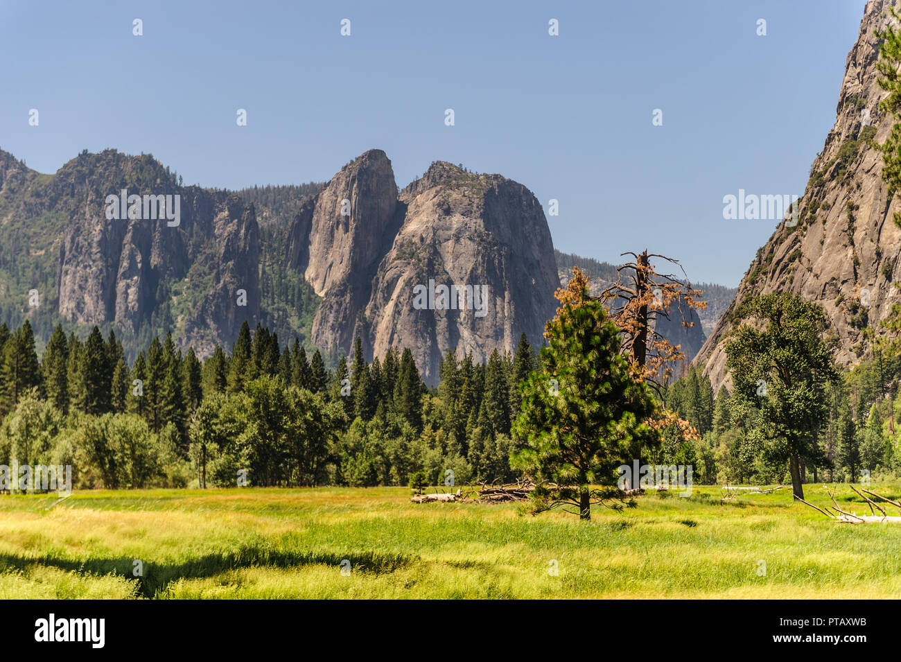 Yosemite Valley, on a sunny August afternoon Stock Photo - Alamy