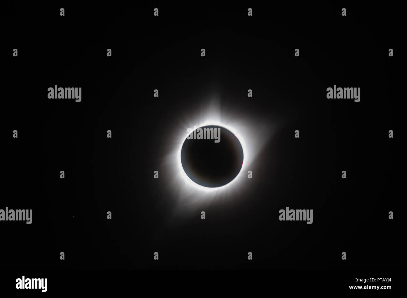 The sun's corona Stock Photo - Alamy