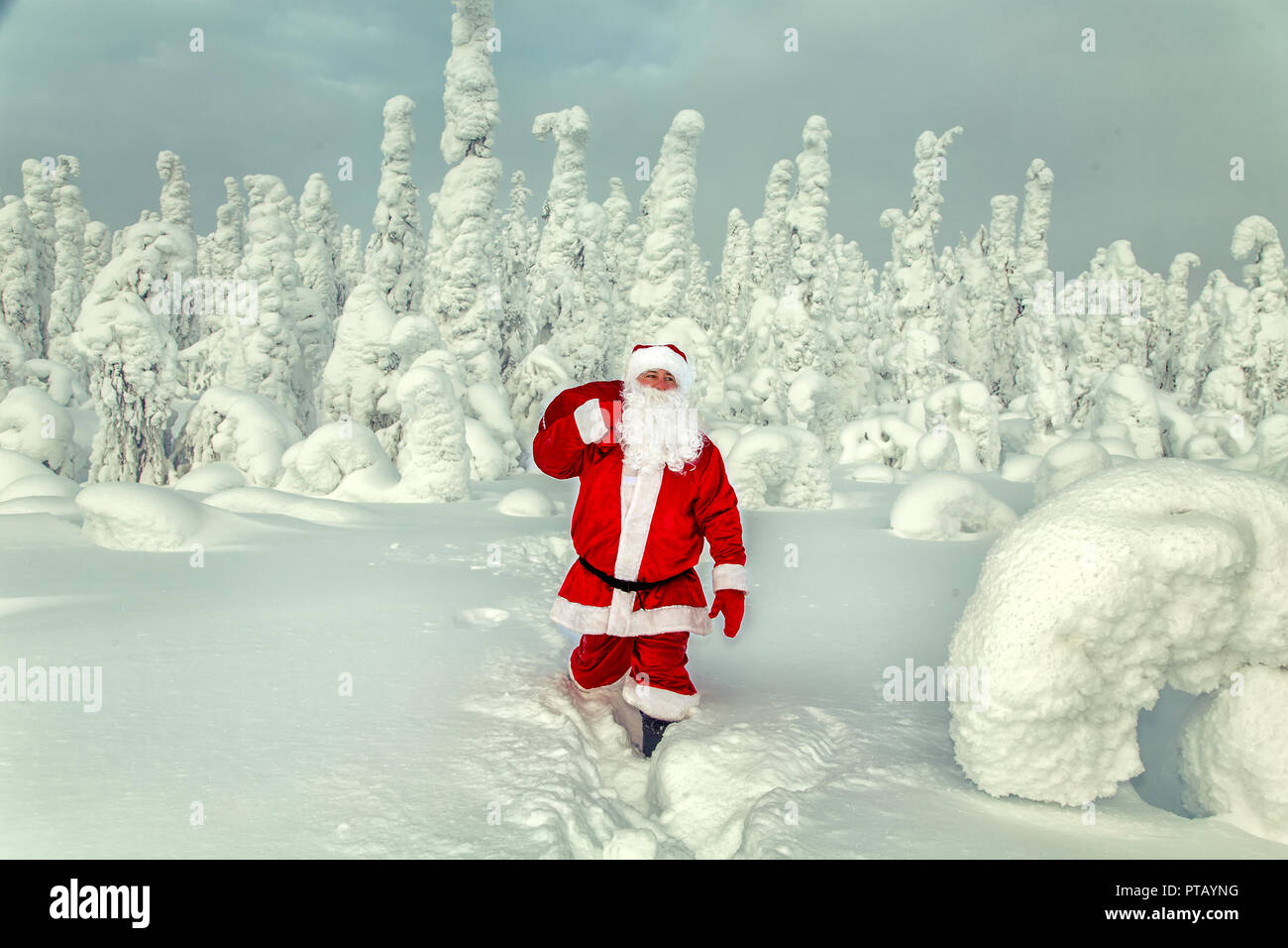 Authentic Santa Claus in Lapland. Magnificent snow-covered landscape ...