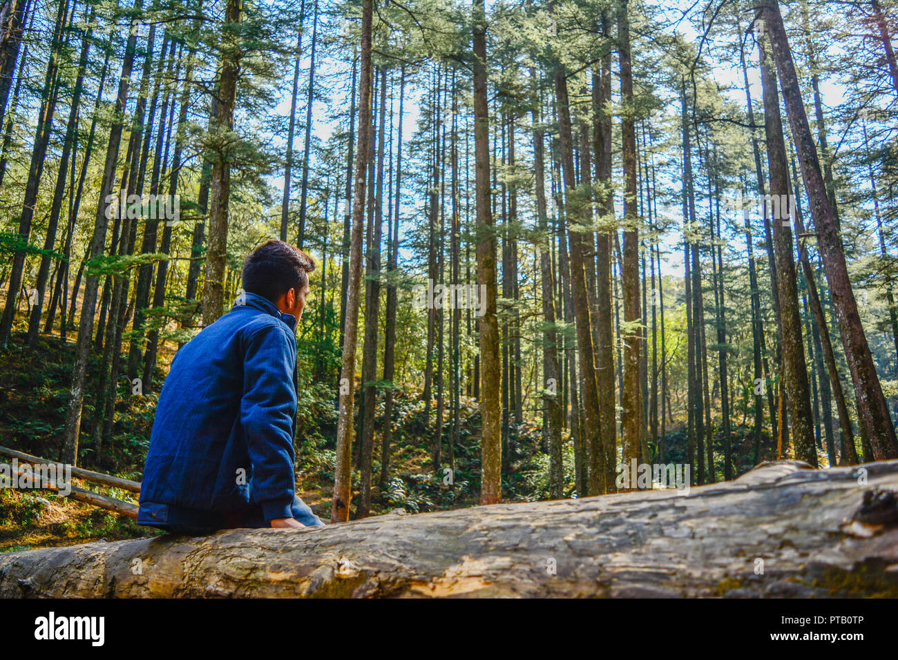 Tadkeshwar temple hi-res stock photography and images - Alamy