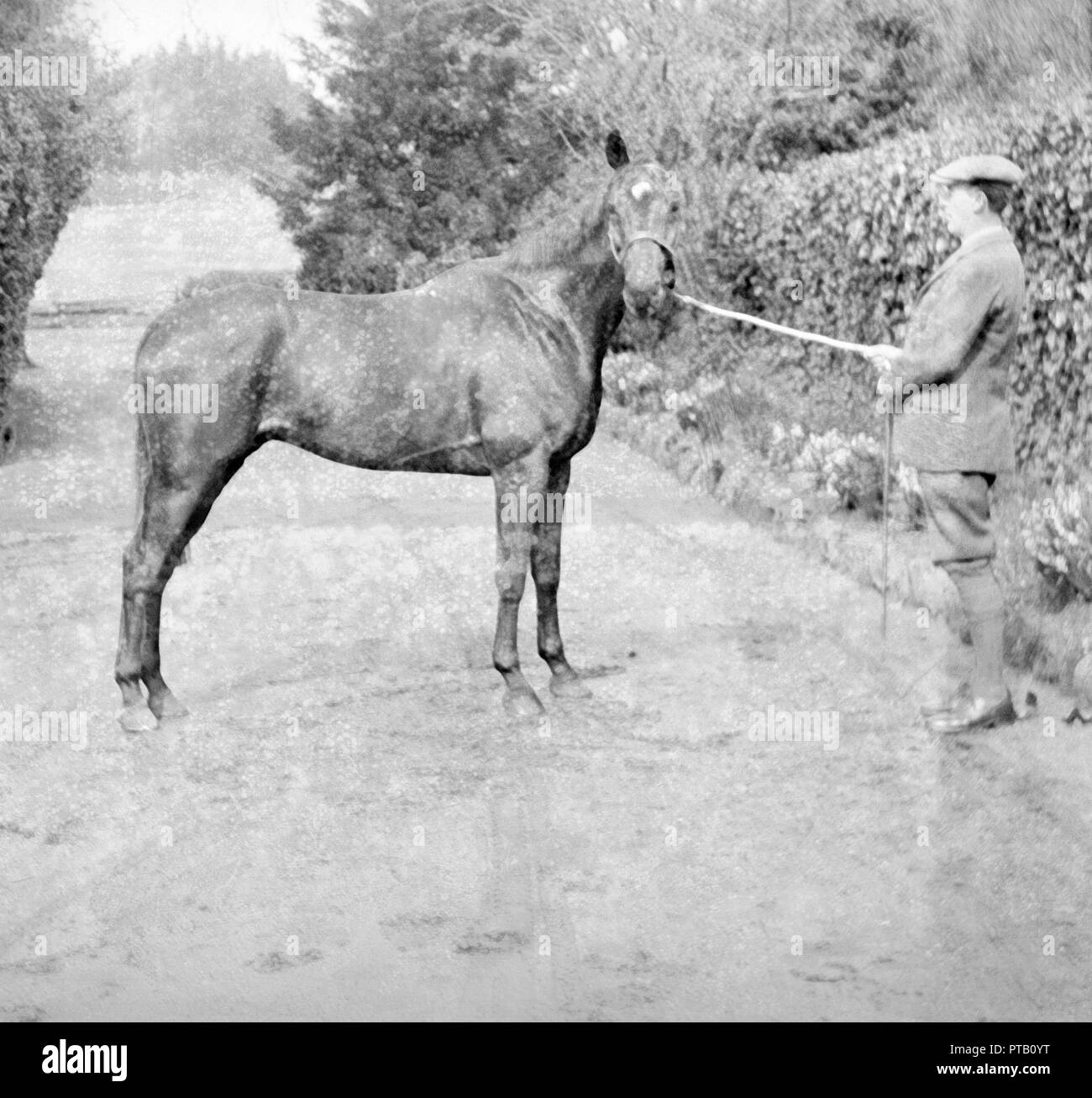 Major general jack seely warrior hi-res stock photography and images ...
