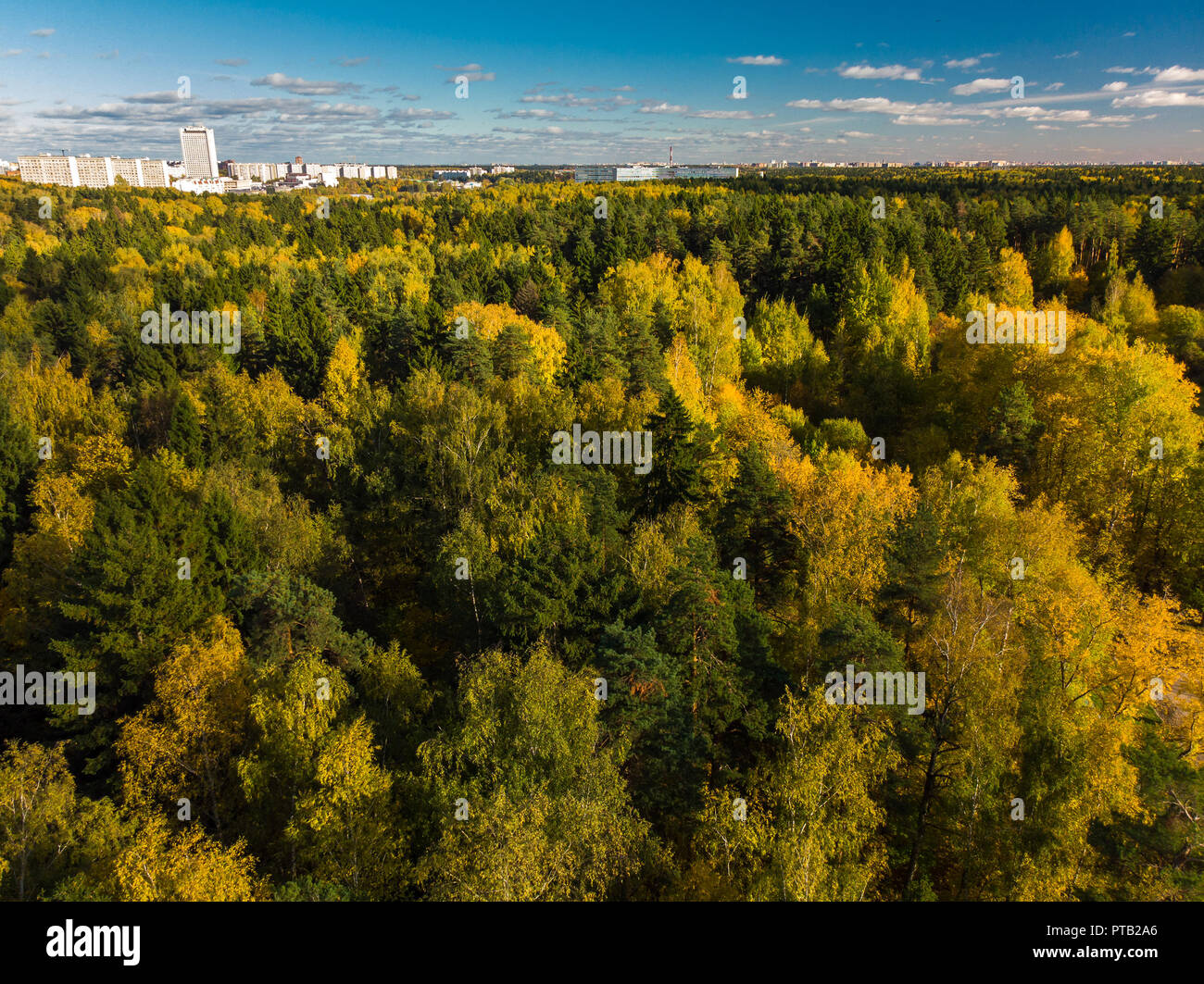 Coniferous forest russia hi-res stock photography and images - Alamy