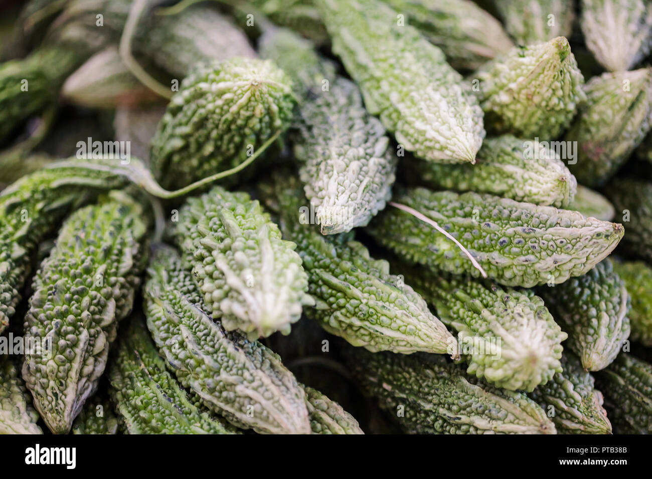 Indian bitter melon hi-res stock photography and images - Alamy