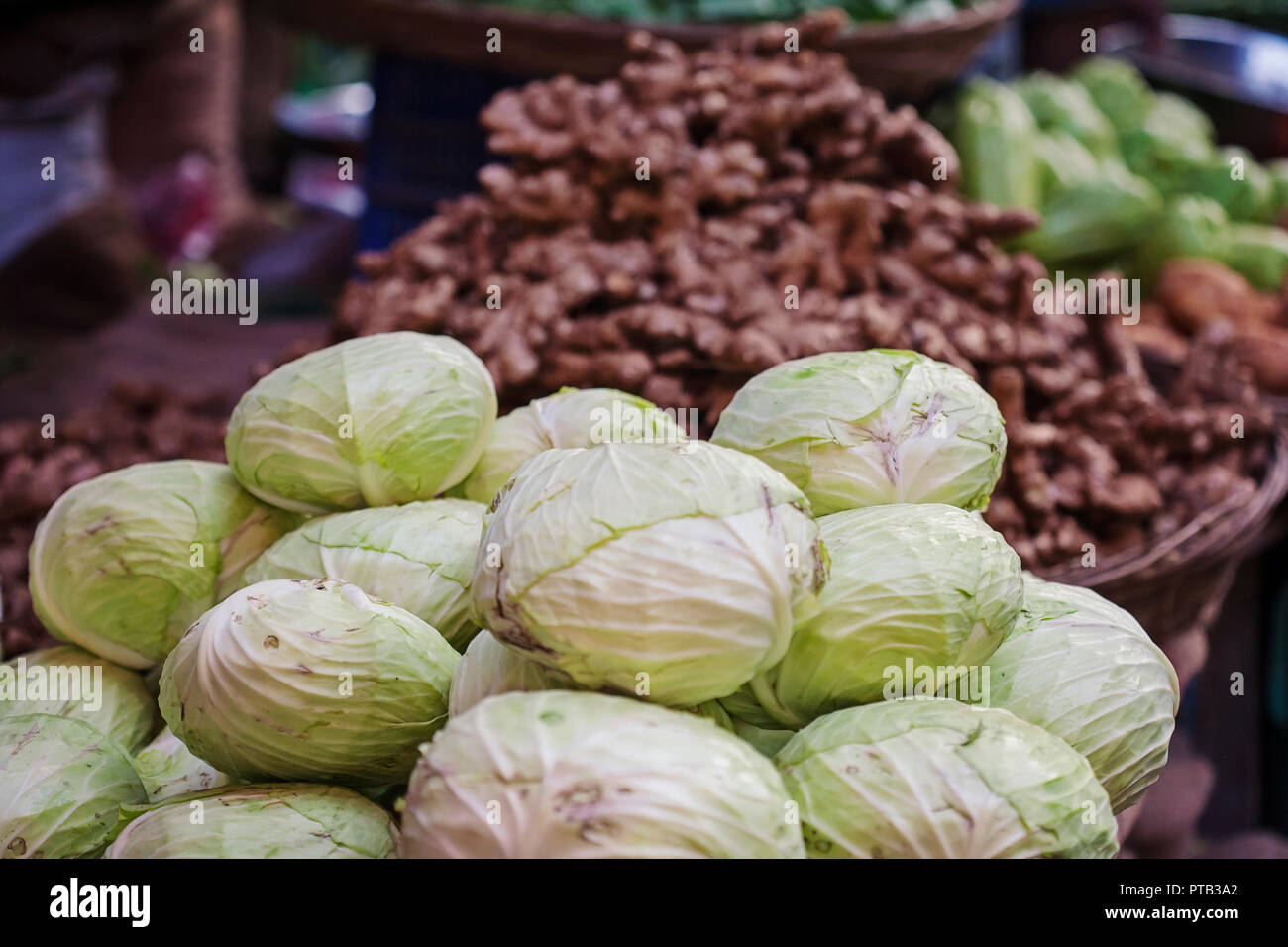 Cabbage at Indian local vegetable market Stock Photo - Alamy