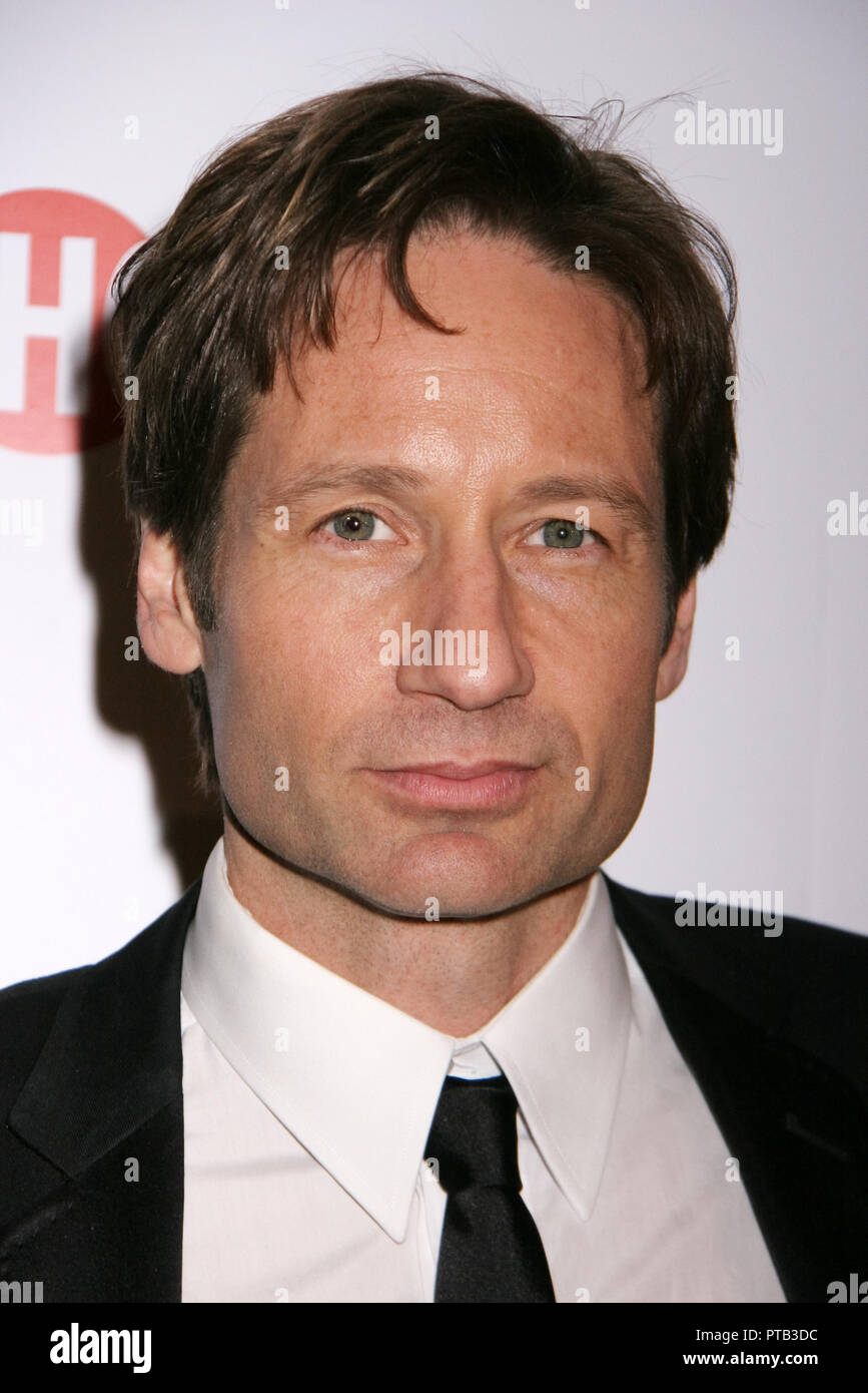 David Duchovny 01/11/09 "Showtime Golden Globe Awards After Party ...