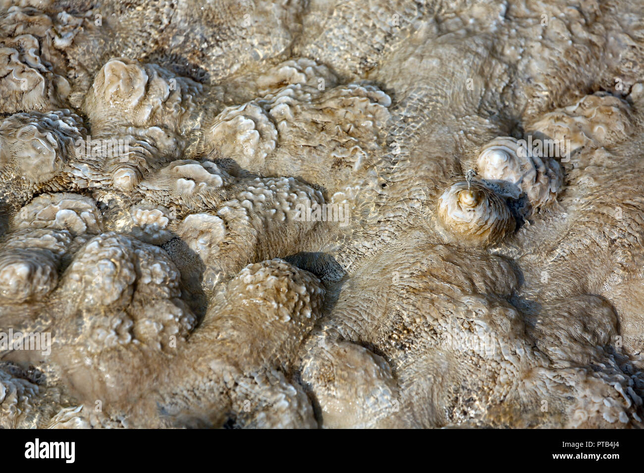 closeup of flowstone texture and patterns Stock Photo - Alamy