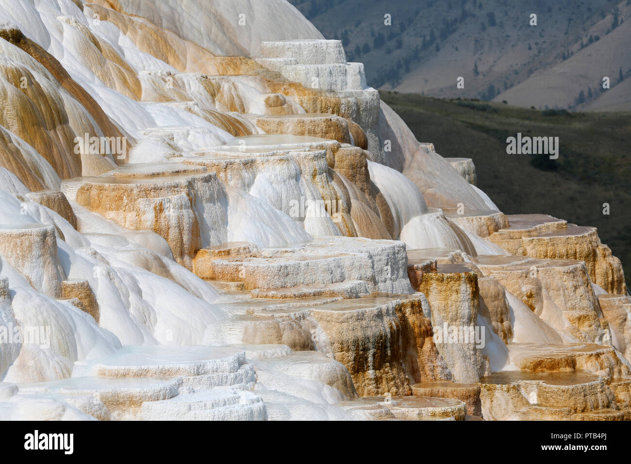 detail of white and orange flowstone forming rims and pools on hillside ...