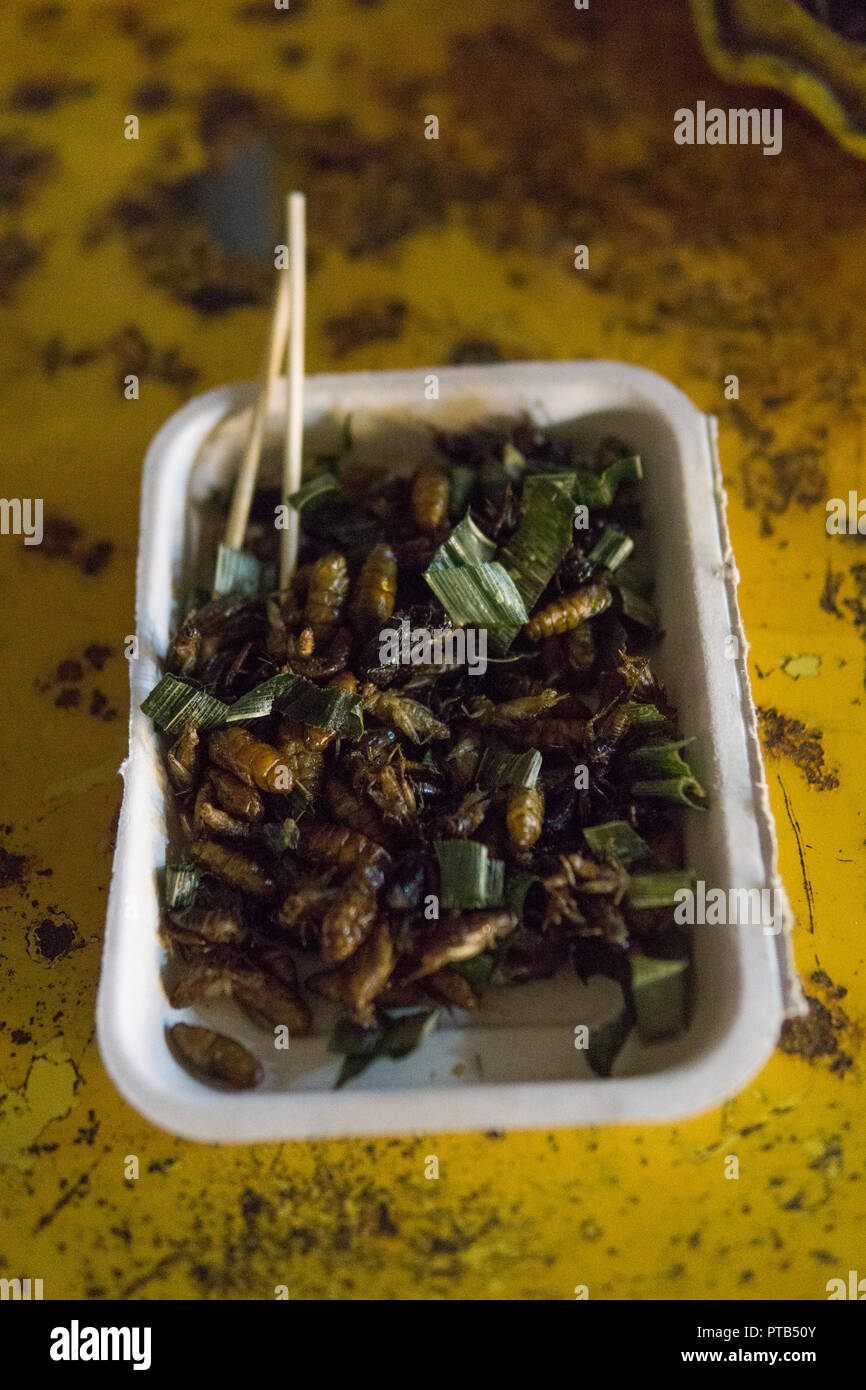 Cockroach food asia hi-res stock photography and images - Alamy