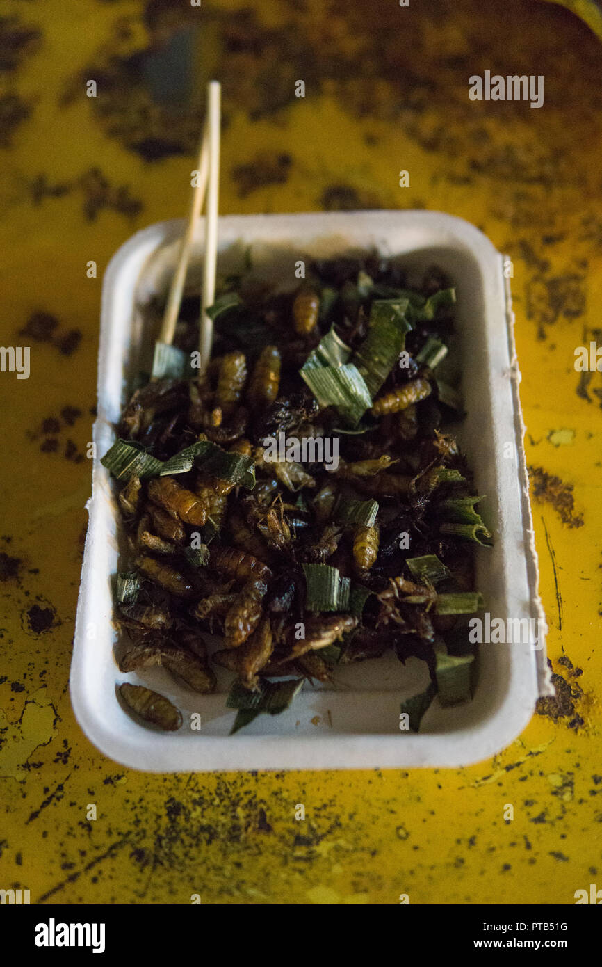 Food insect snack hi-res stock photography and images - Alamy