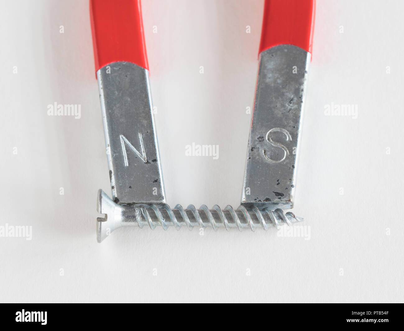 Shiny steel screw attached to a magnet on a white background Stock ...