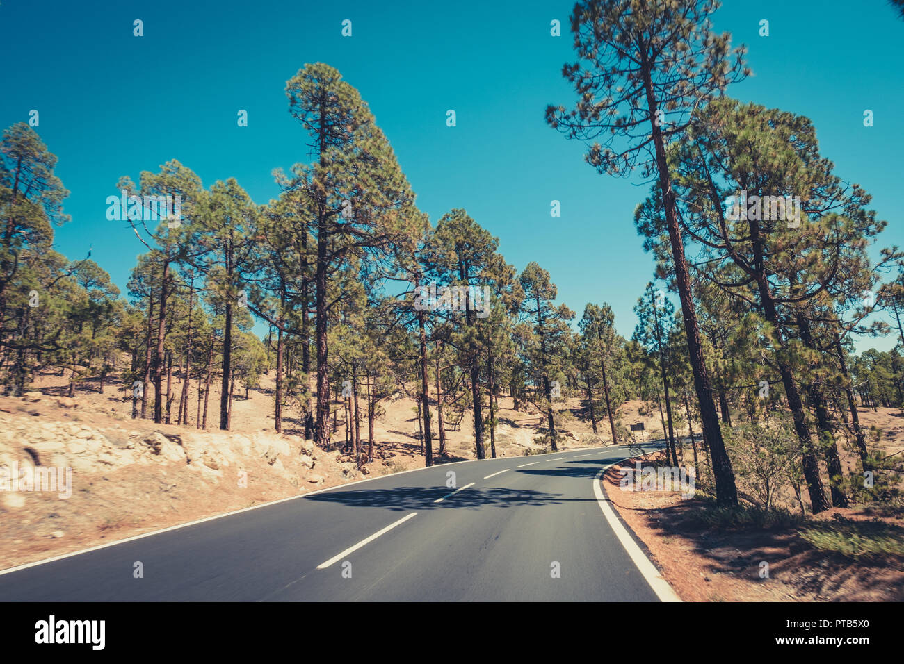 road trough forest, mountain landscape - highway and nature Stock Photo ...