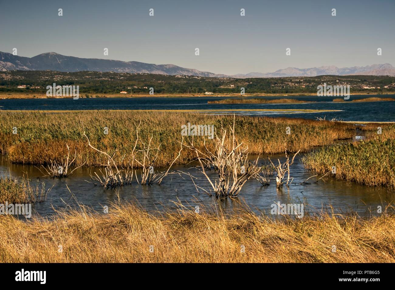 Montenegro - A view at a portion of the Nature Park Solana Ulcinj ...