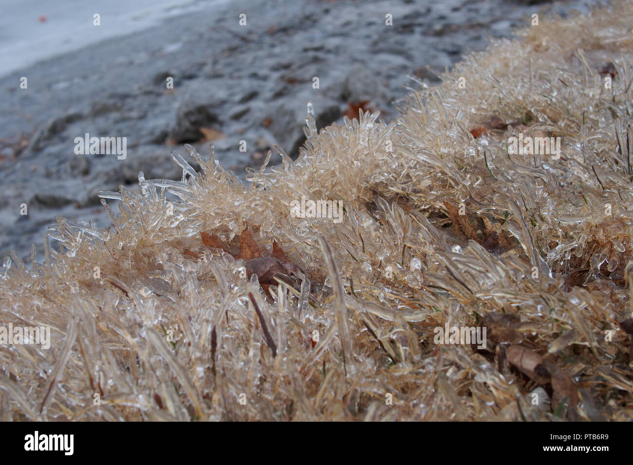 Thick coats of ice hi-res stock photography and images - Alamy