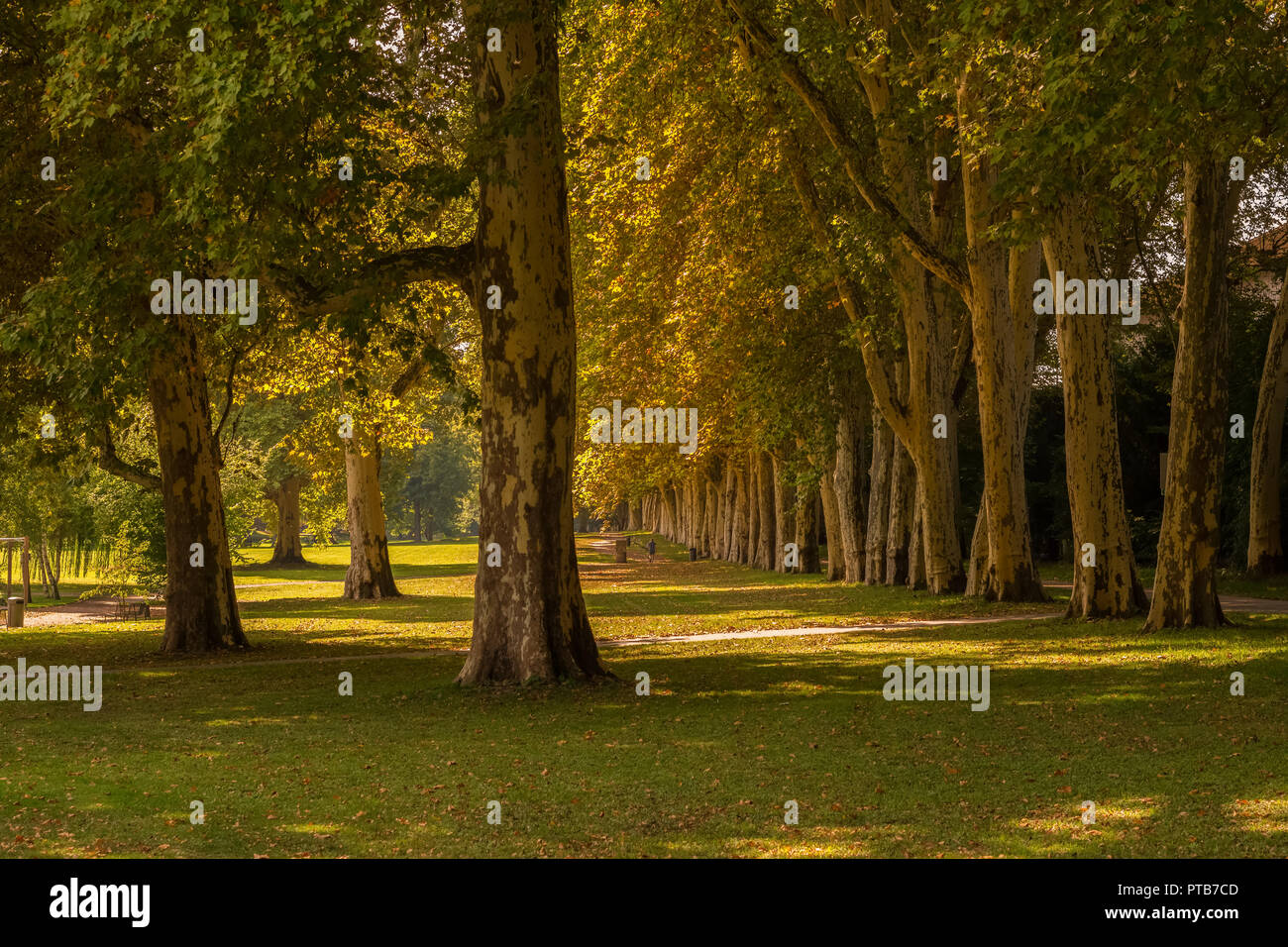 A part of a big public park in Stuttgart Stock Photo - Alamy