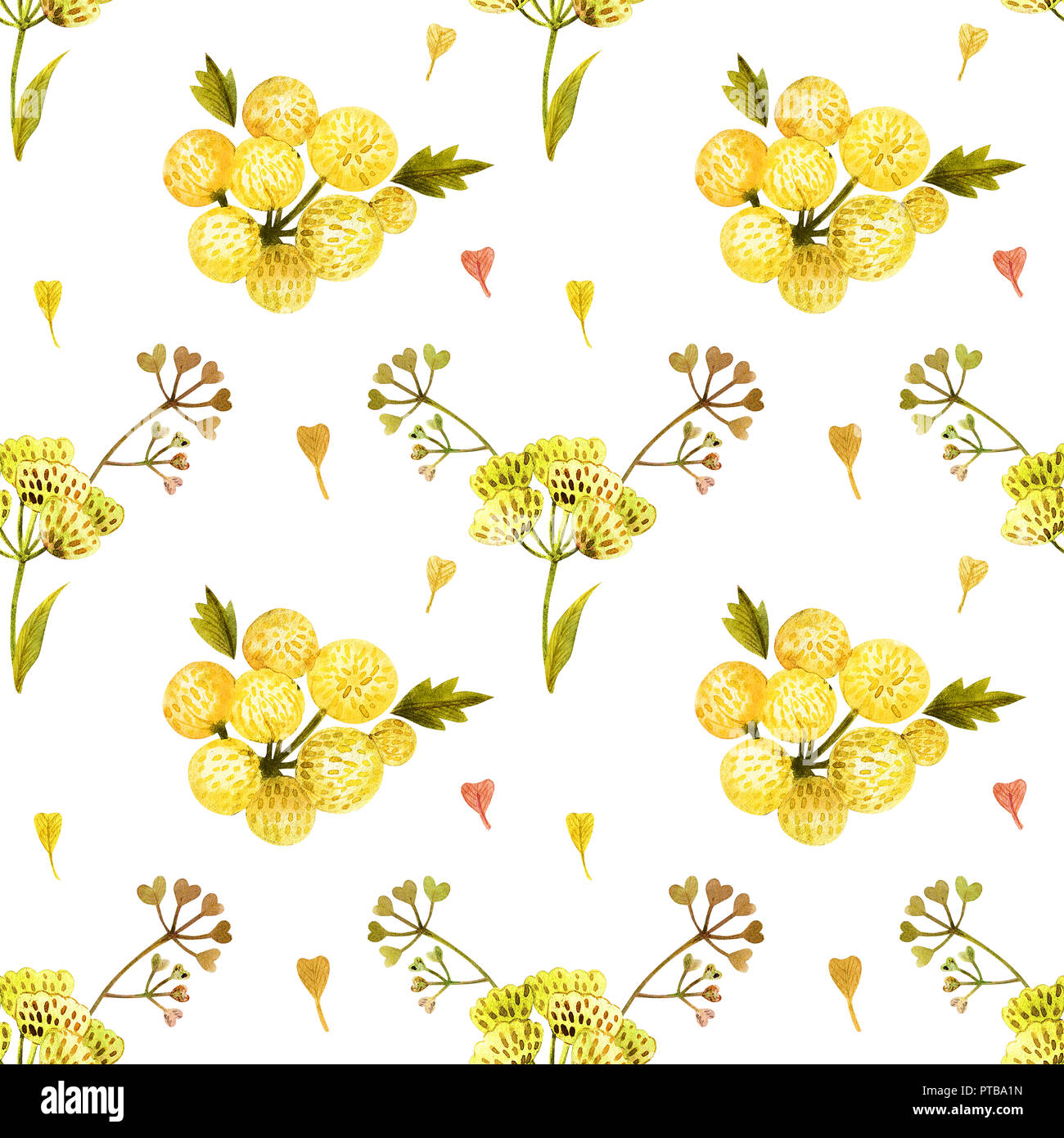 Yellow wild plants seamless pattern. Watercolor on a white backdrop ...