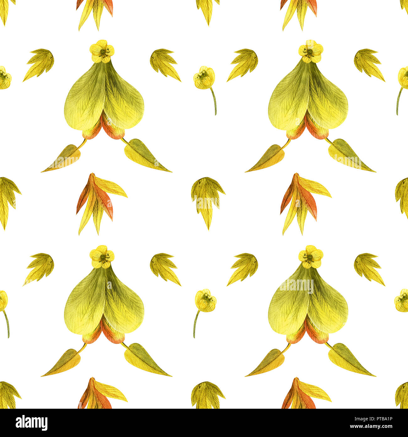 Yellow wild plants seamless pattern. Watercolor on a white backdrop ...