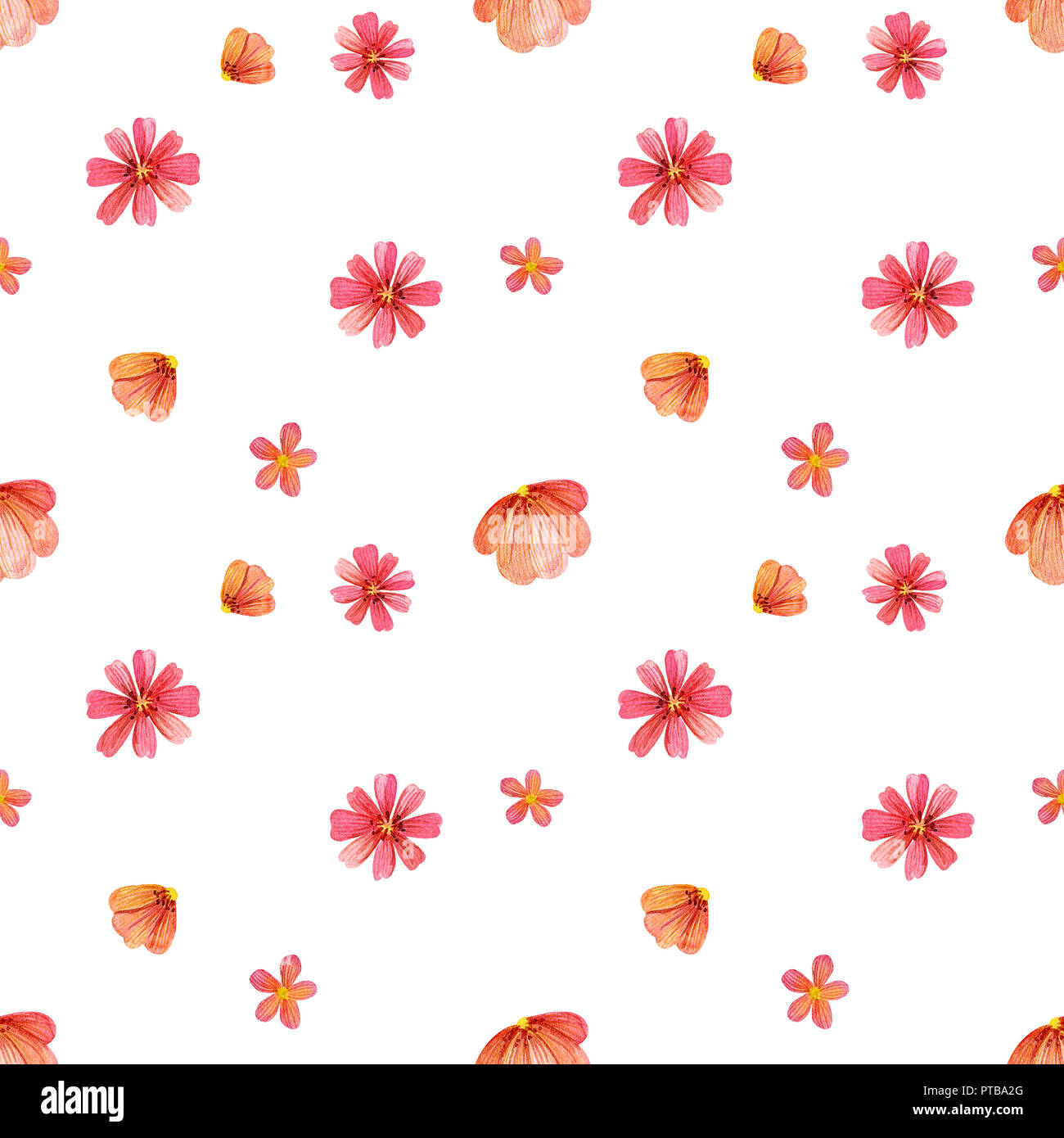 Yellow wild plants seamless pattern. Watercolor on a white backdrop ...