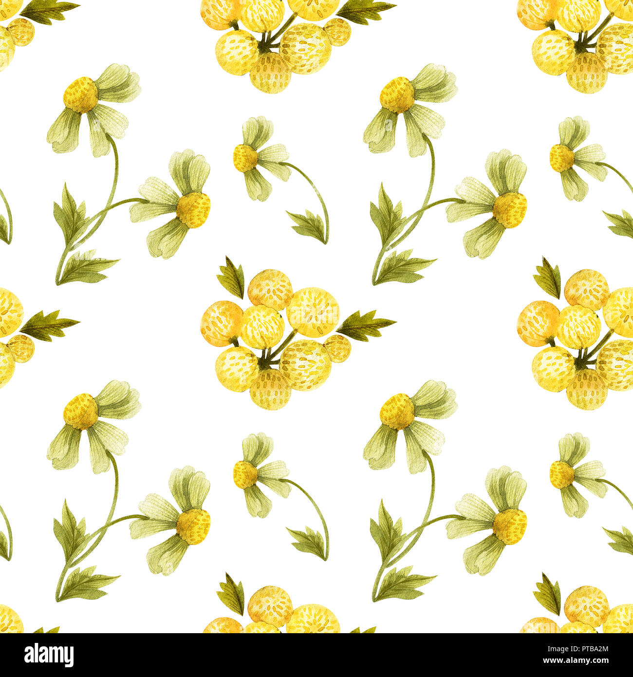 Yellow wild plants seamless pattern. Watercolor on a white backdrop ...