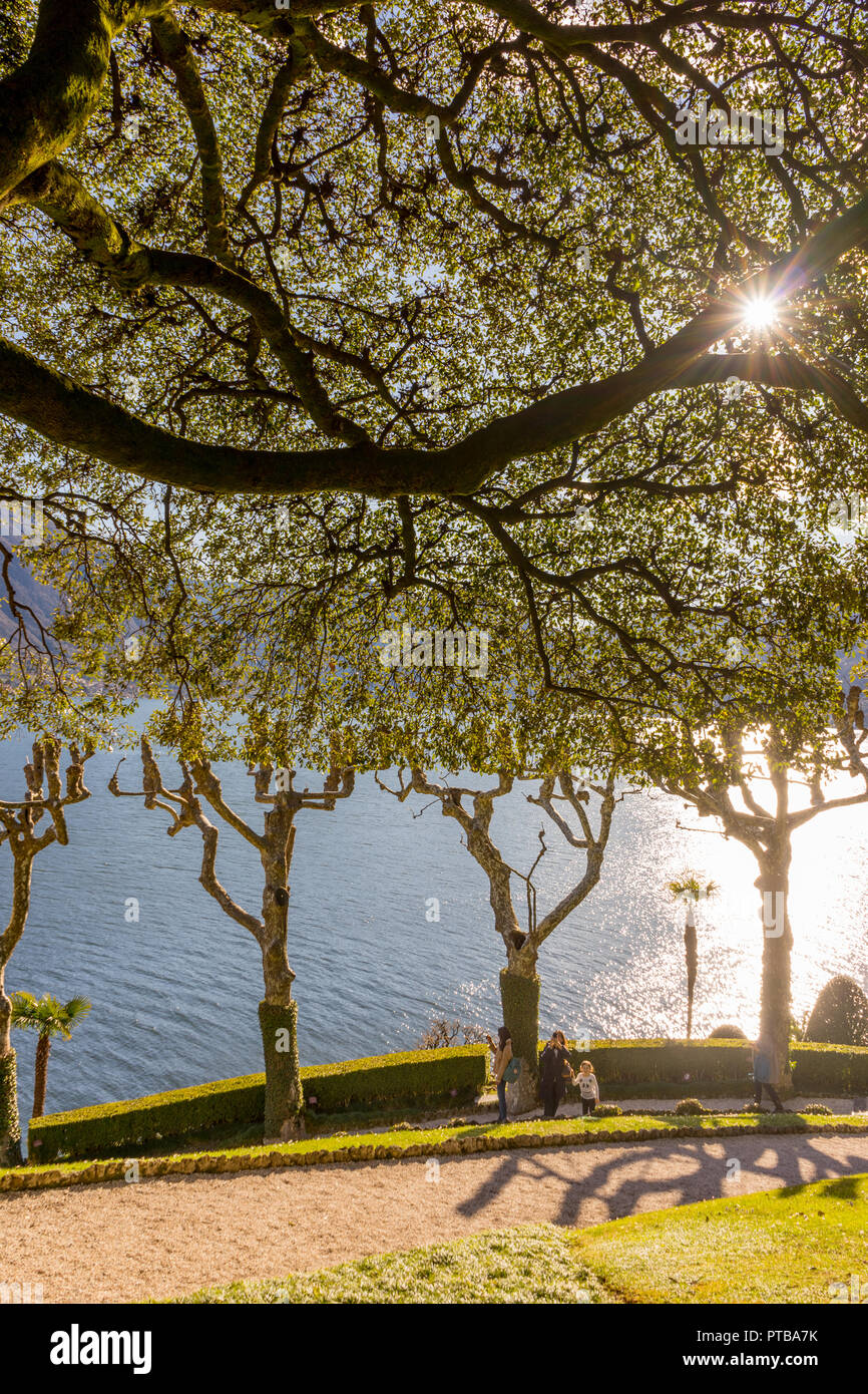 Italy, Lecco, Lake Como, beneath the shade of a tree Stock Photo - Alamy