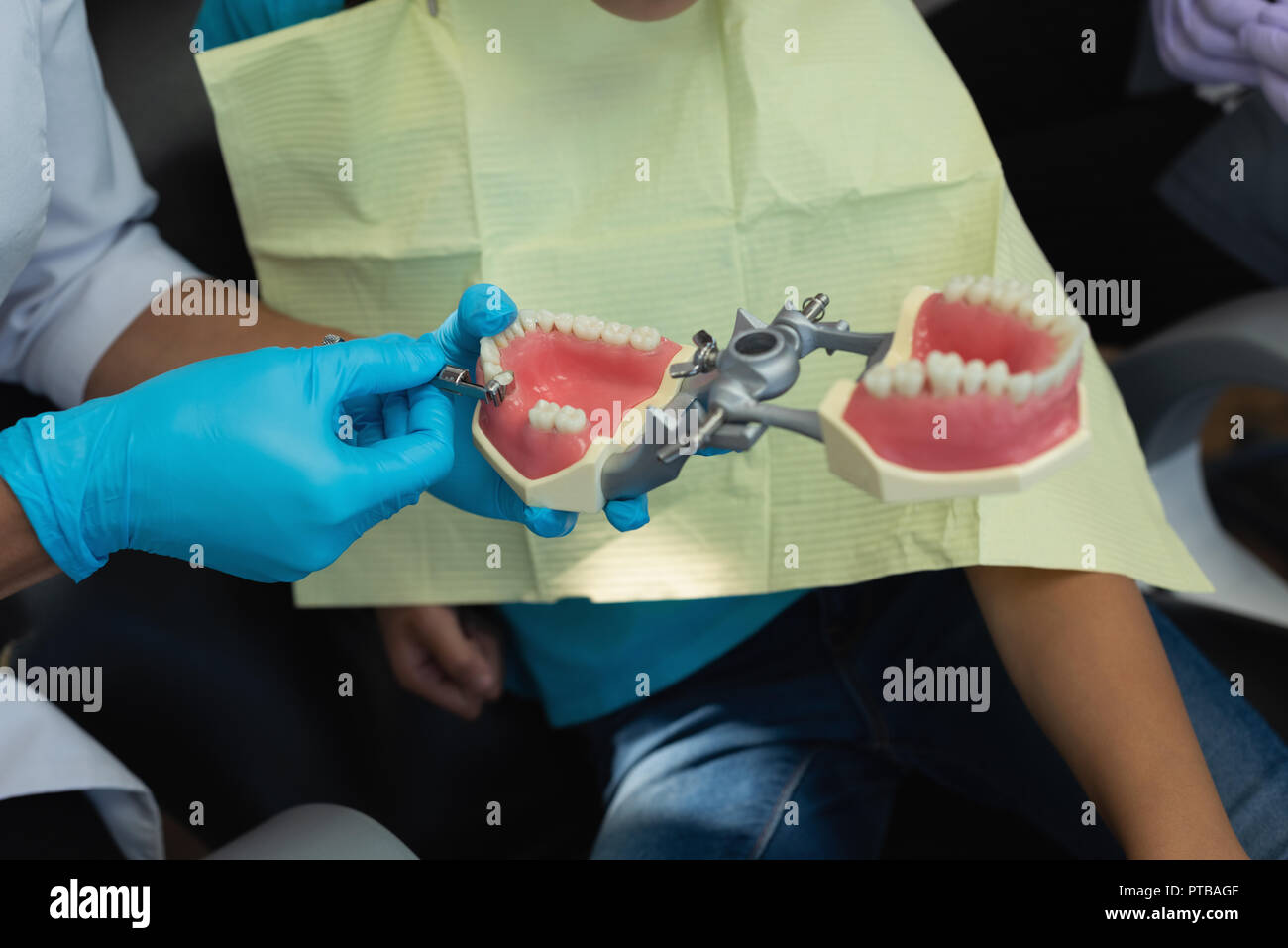 Teeth model hi-res stock photography and images - Alamy