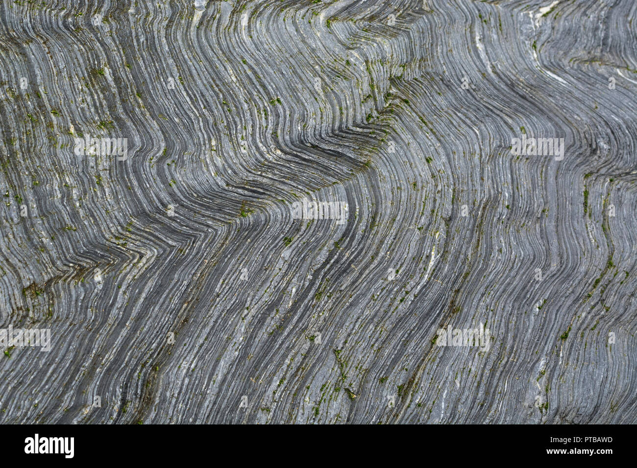 Abstract lines in nature. Weathered by the sea, close-up of coastal ...