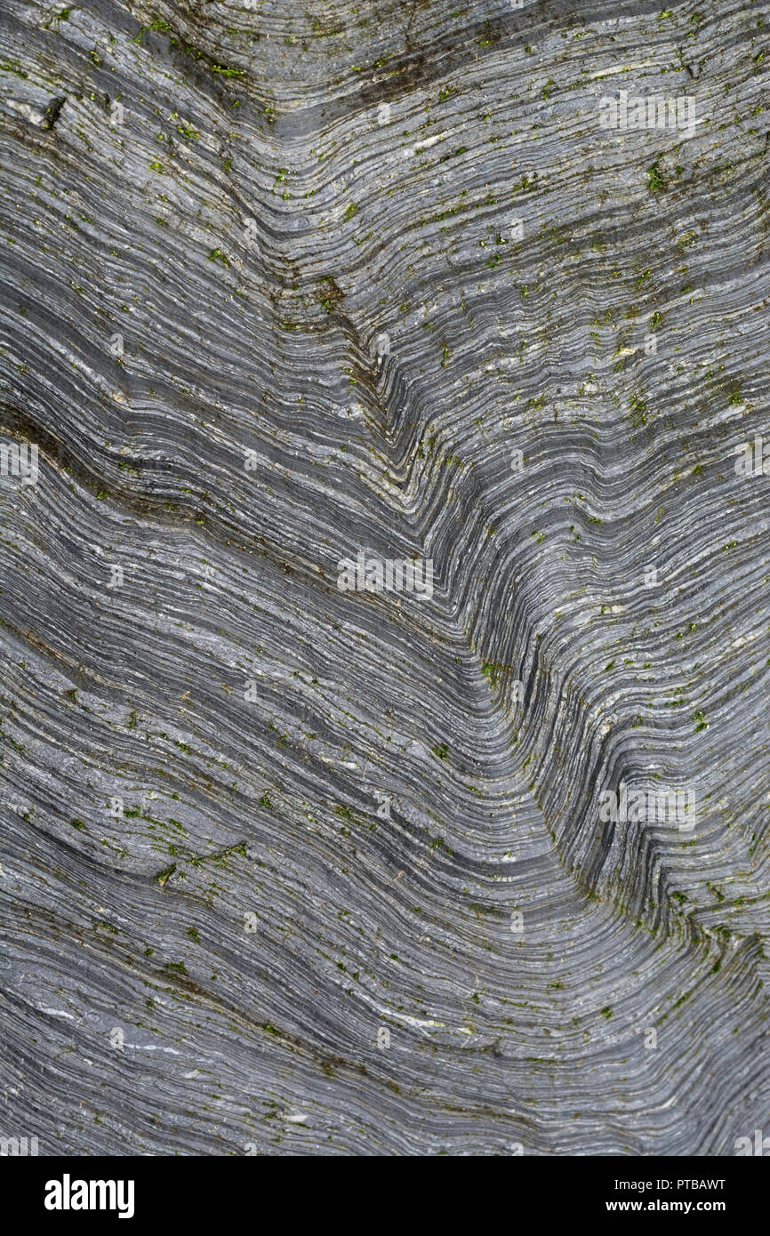 Abstract lines in nature. Weathered by the sea, close-up of coastal ...