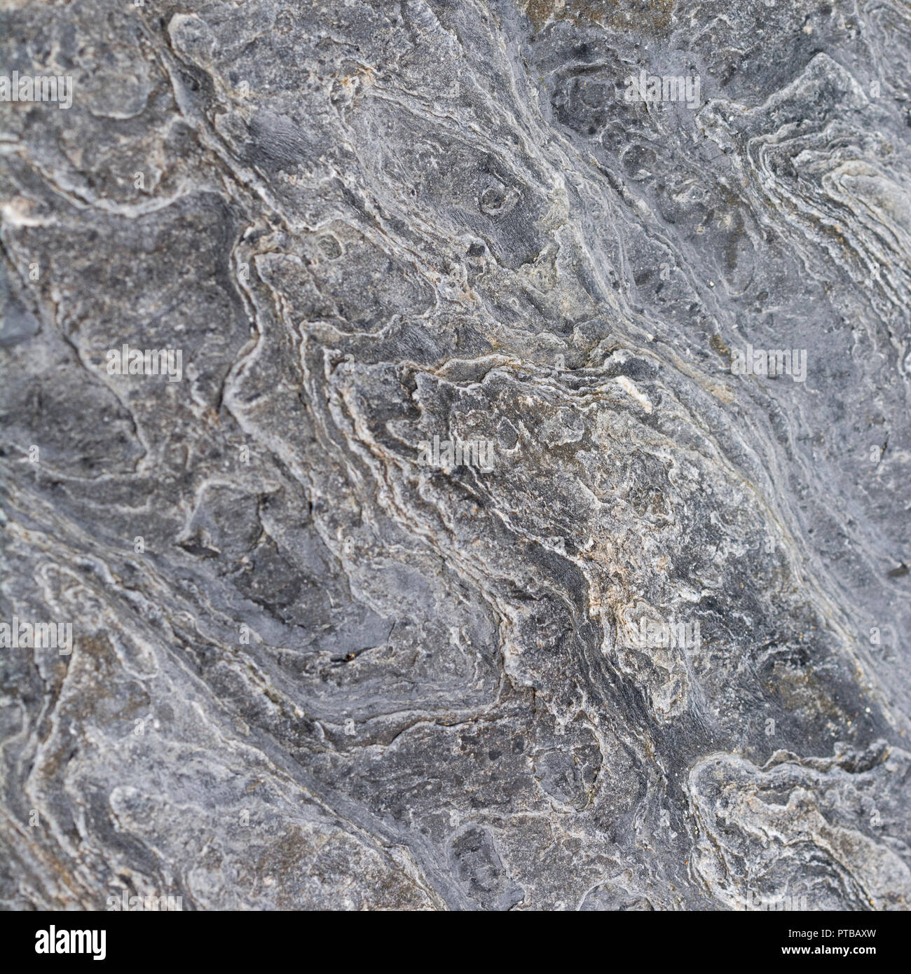 Shoreline texture hi-res stock photography and images - Alamy