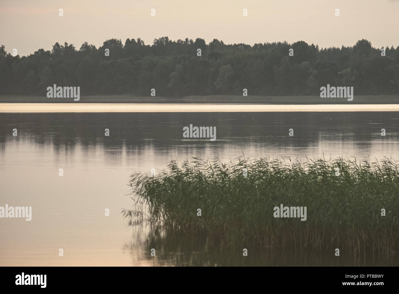 colorful sunset by the lake with tree silhouettes and red sky in ...