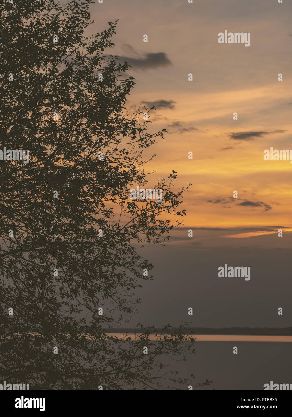 colorful sunset by the lake with tree silhouettes and red sky in ...