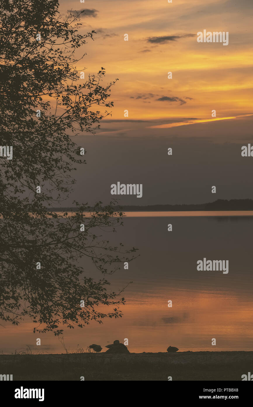 colorful sunset by the lake with tree silhouettes and red sky in ...