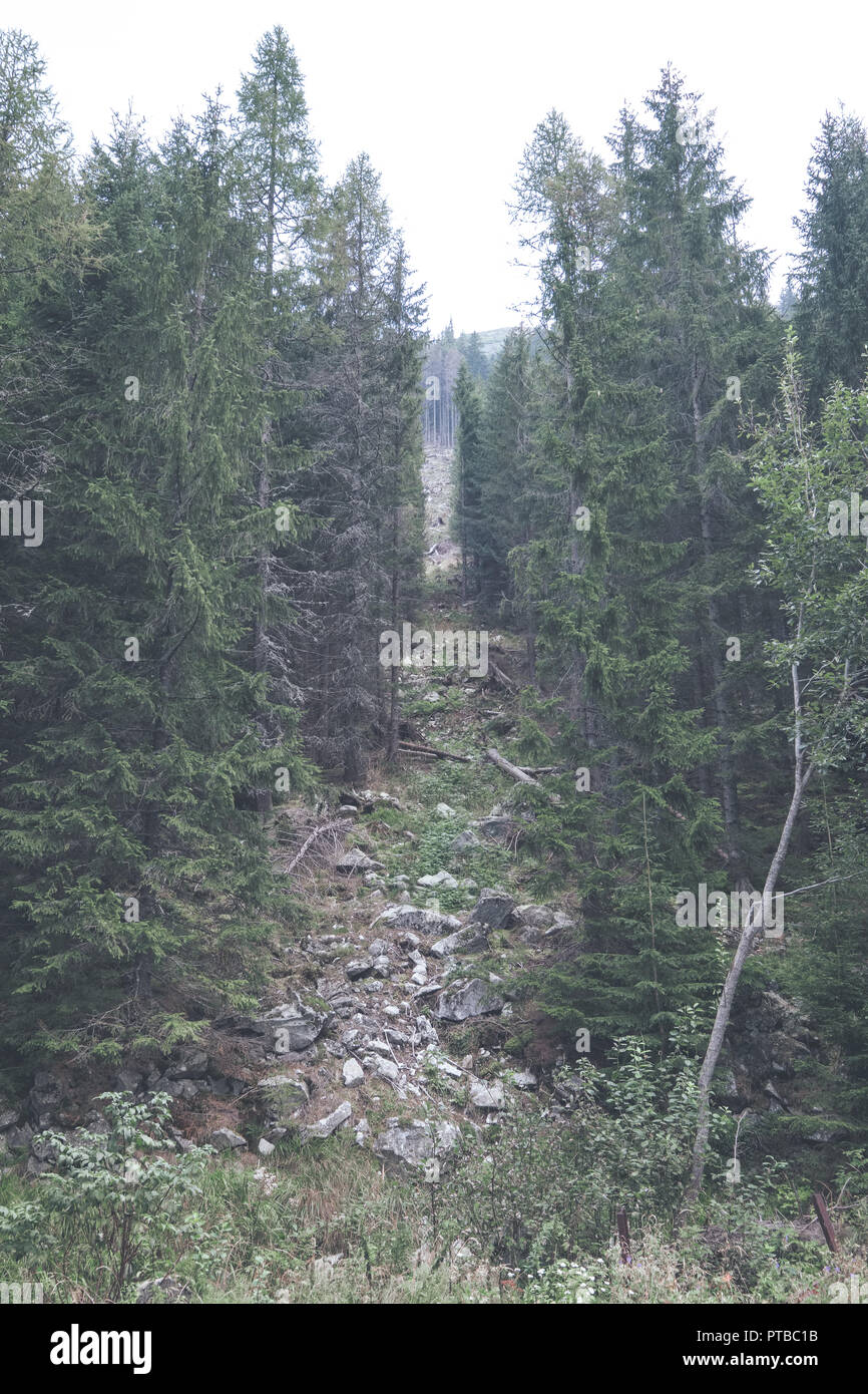 hiking trail in tatra mountains in Slovakia. mounatin view in late ...