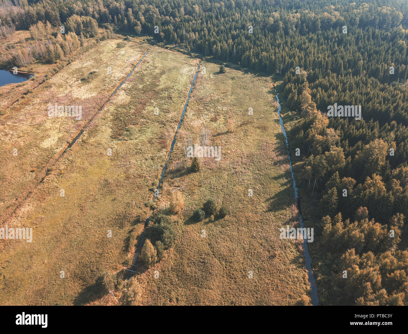 drone image. aerial view of rural area with fields and lonely trees ...
