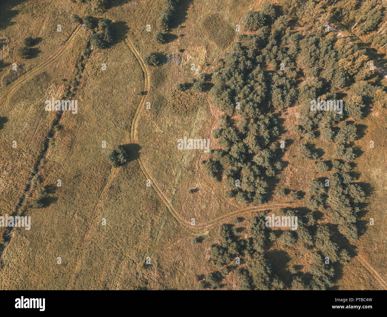 drone image. aerial view of rural area with fields and lonely trees ...