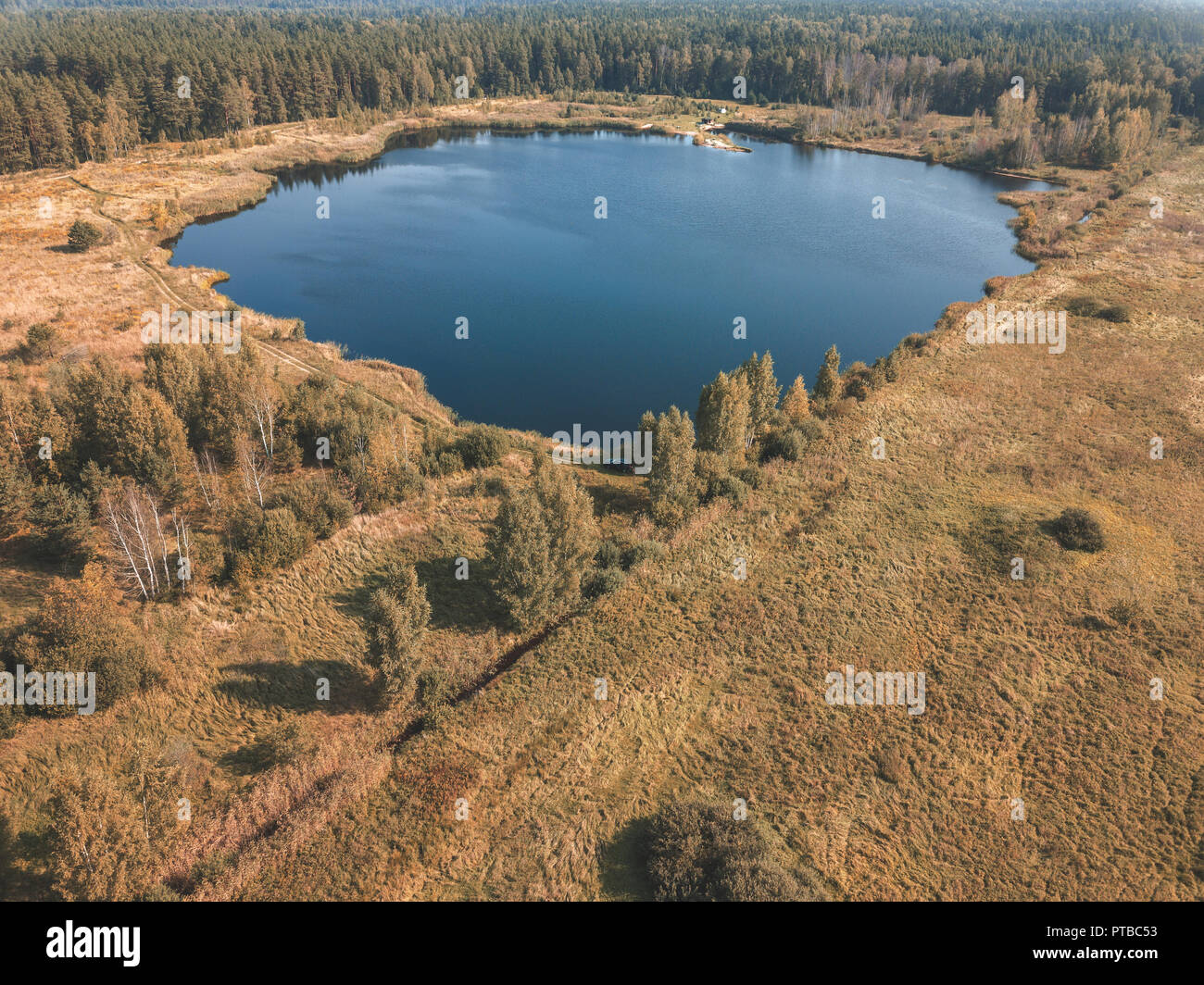drone image. aerial view of rural area with fields and forest lake ...