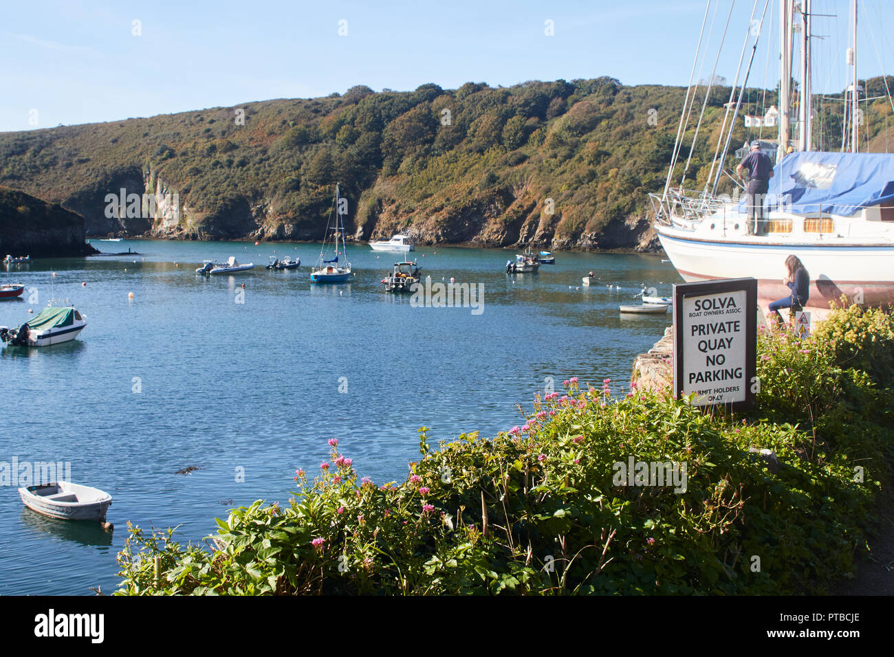 Solva Moorings High Resolution Stock Photography and Images - Alamy
