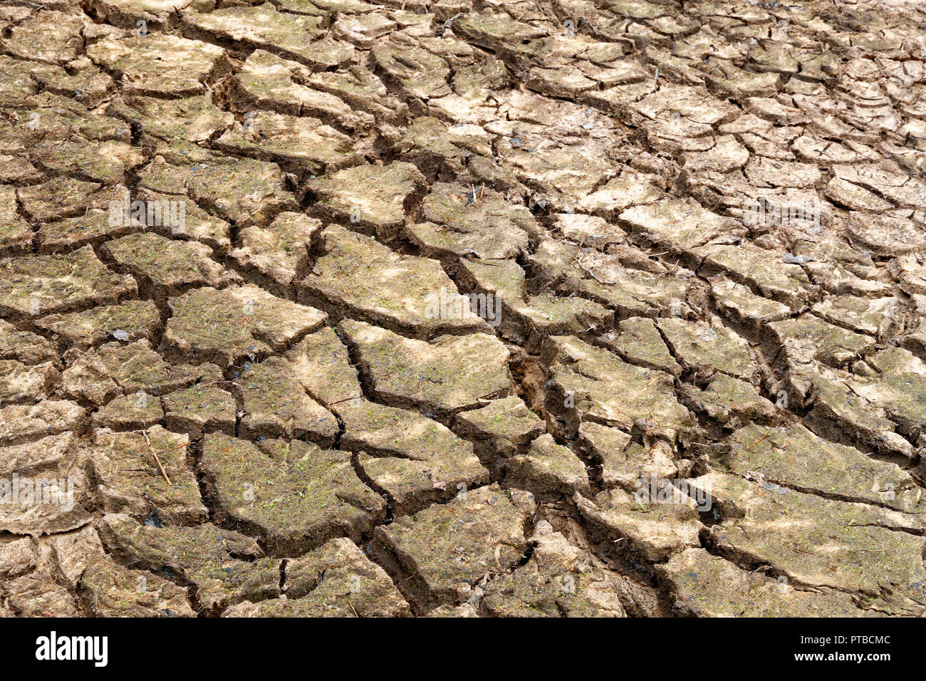 With Climate change and Global warming and less rainfall, rising ...