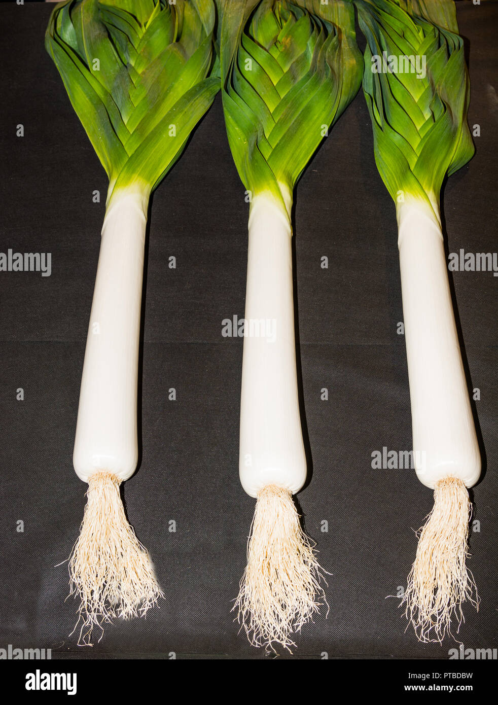Show leeks hi-res stock photography and images - Alamy