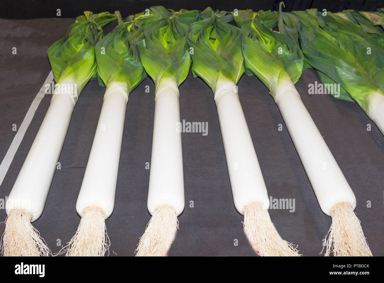 Show leeks hi-res stock photography and images - Alamy