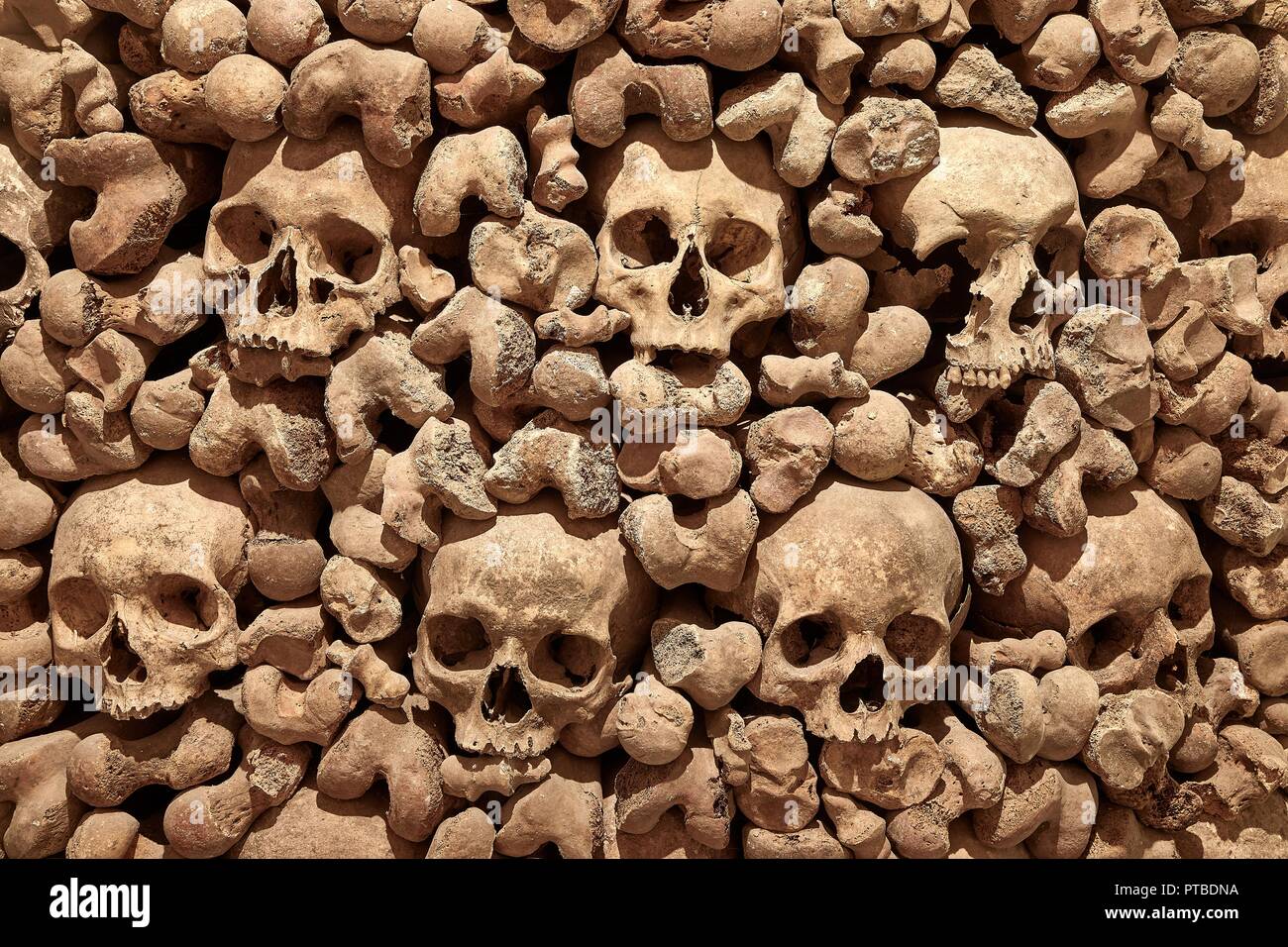 Human skulls in a burial cave hi-res stock photography and images - Alamy