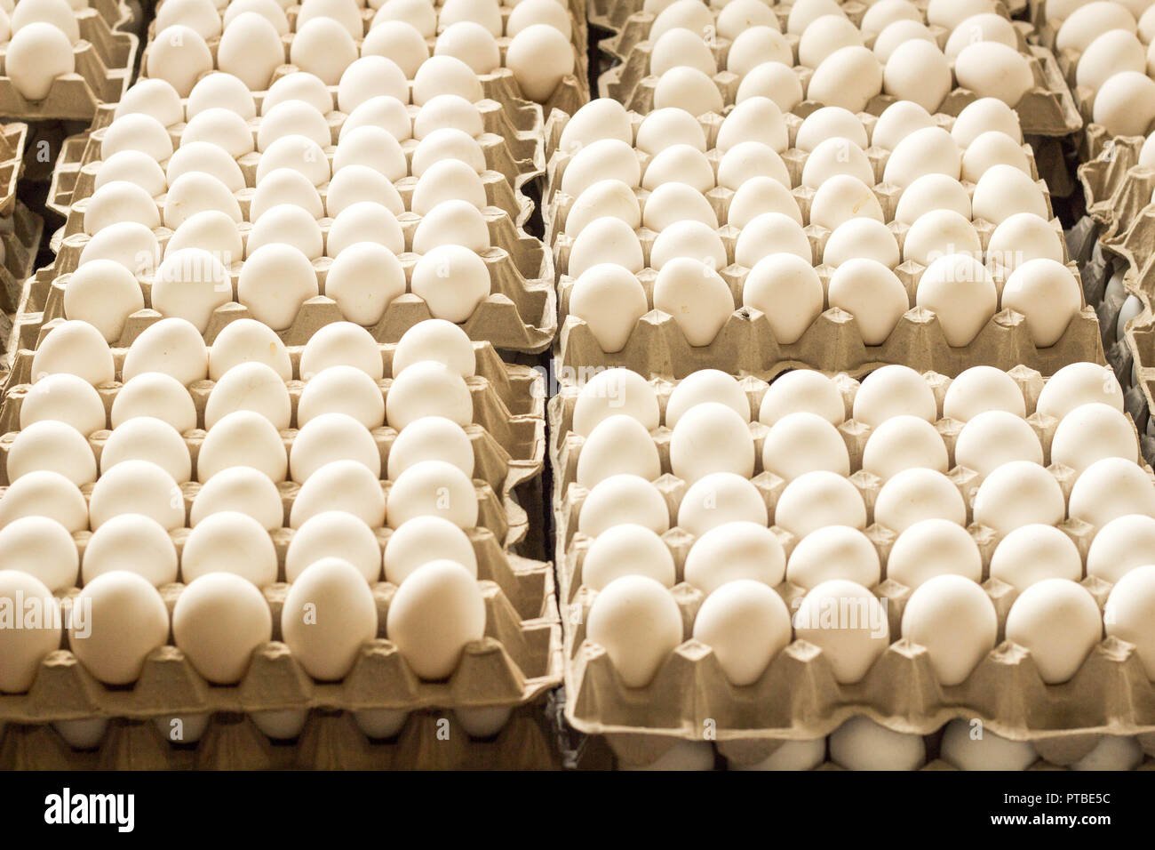 A lot of chicken eggs in the trays, sorting of chicken eggs, eggshell ...