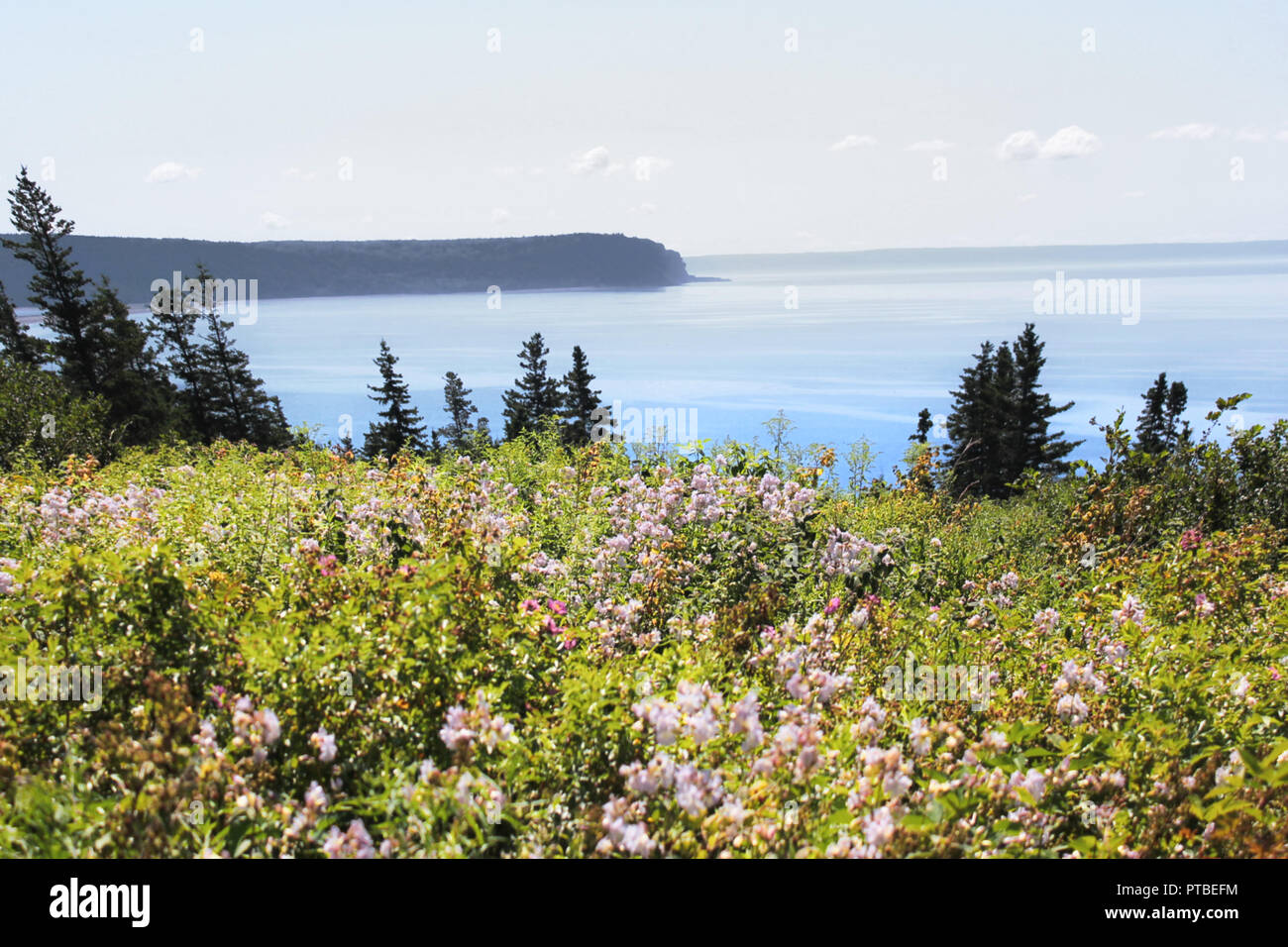 cape chignecto, Nova Scotia, Canada Stock Photo - Alamy