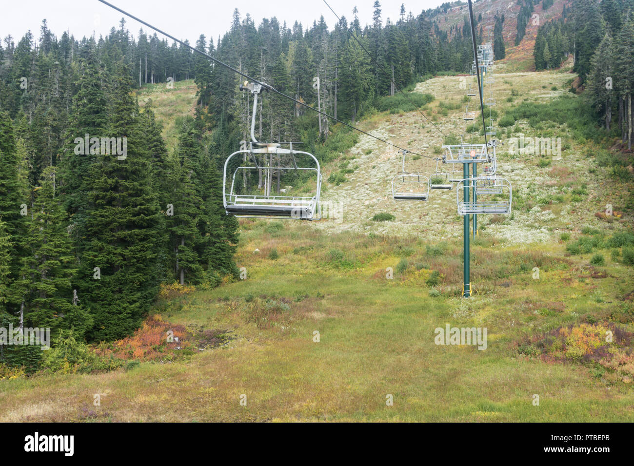 Mount Washington Alpine Resort Canada High Resolution Stock Photography ...