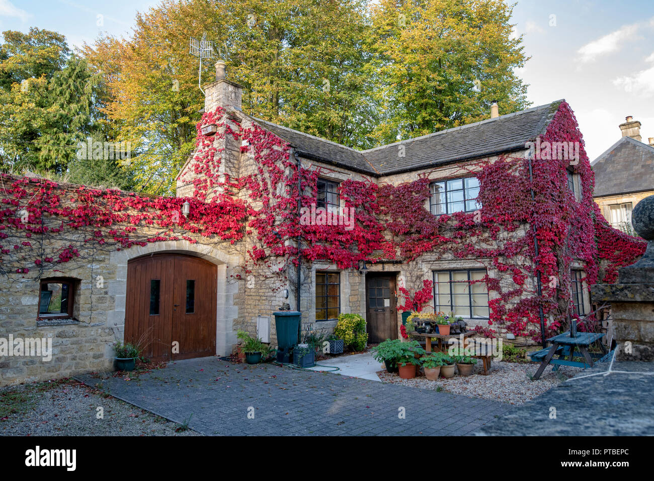 Tree creeper uk water hi-res stock photography and images - Alamy