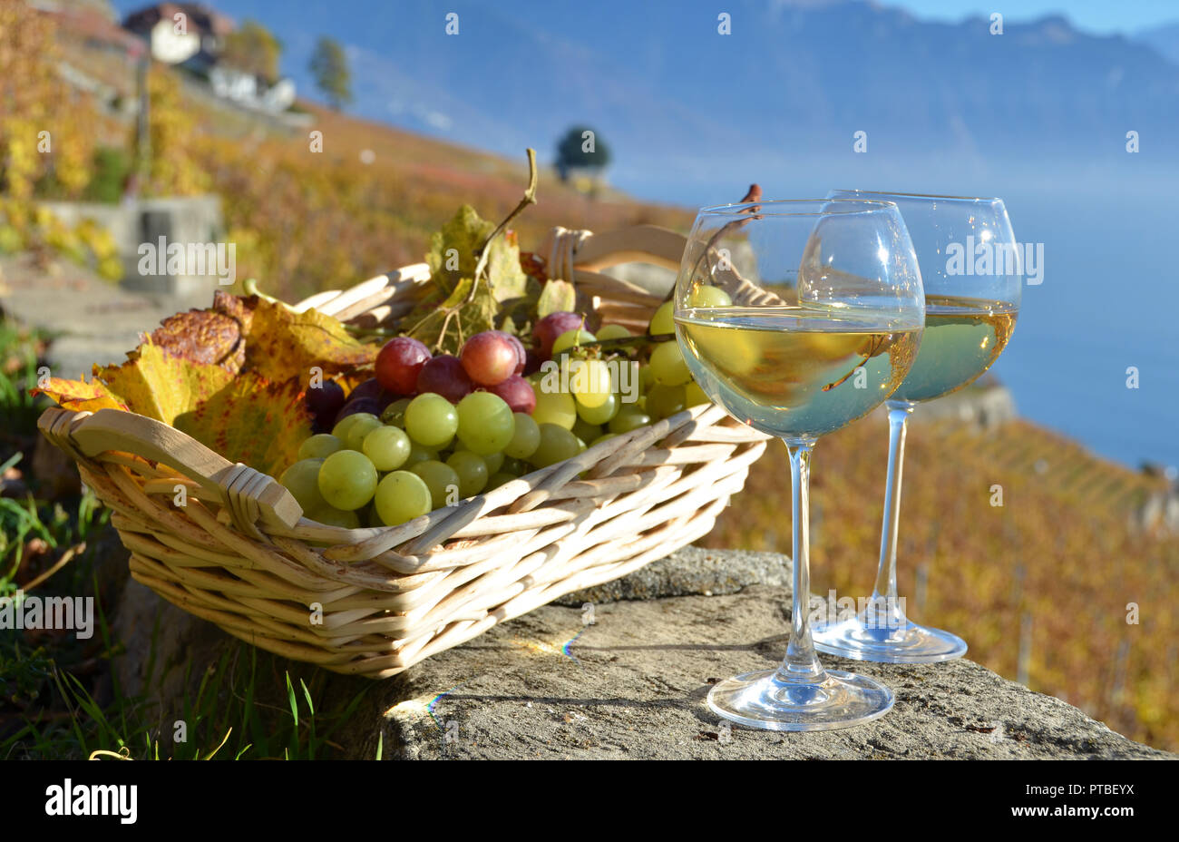 Wine and grapes against Geneva lake, Switzerland Stock Photo - Alamy