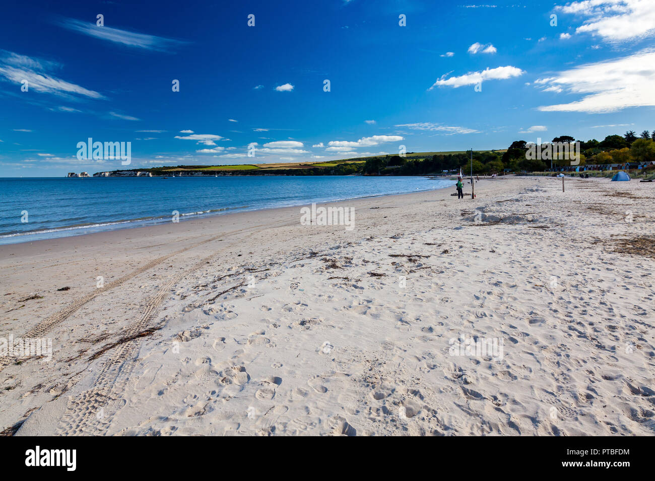 Knoll Beach on the Studland Peninsula Dorset England UK Stock Photo - Alamy