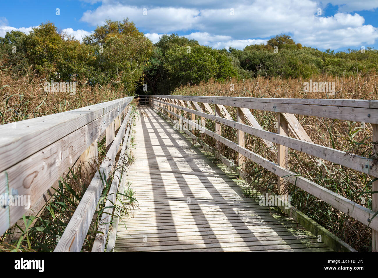 Wooden Bridge at Shell Bay on the Studland Peninsula Dorset England UK ...